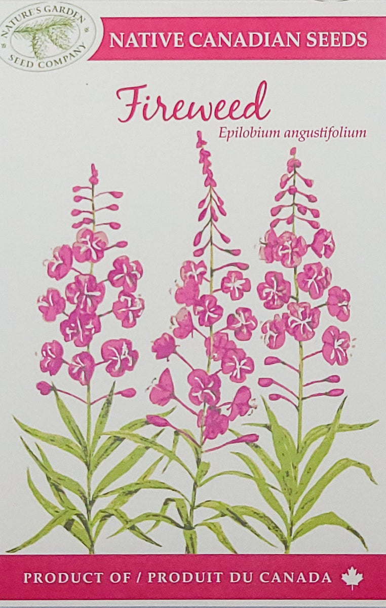 Fireweed Wildflower Seeds – Nature's Garden Seed Company