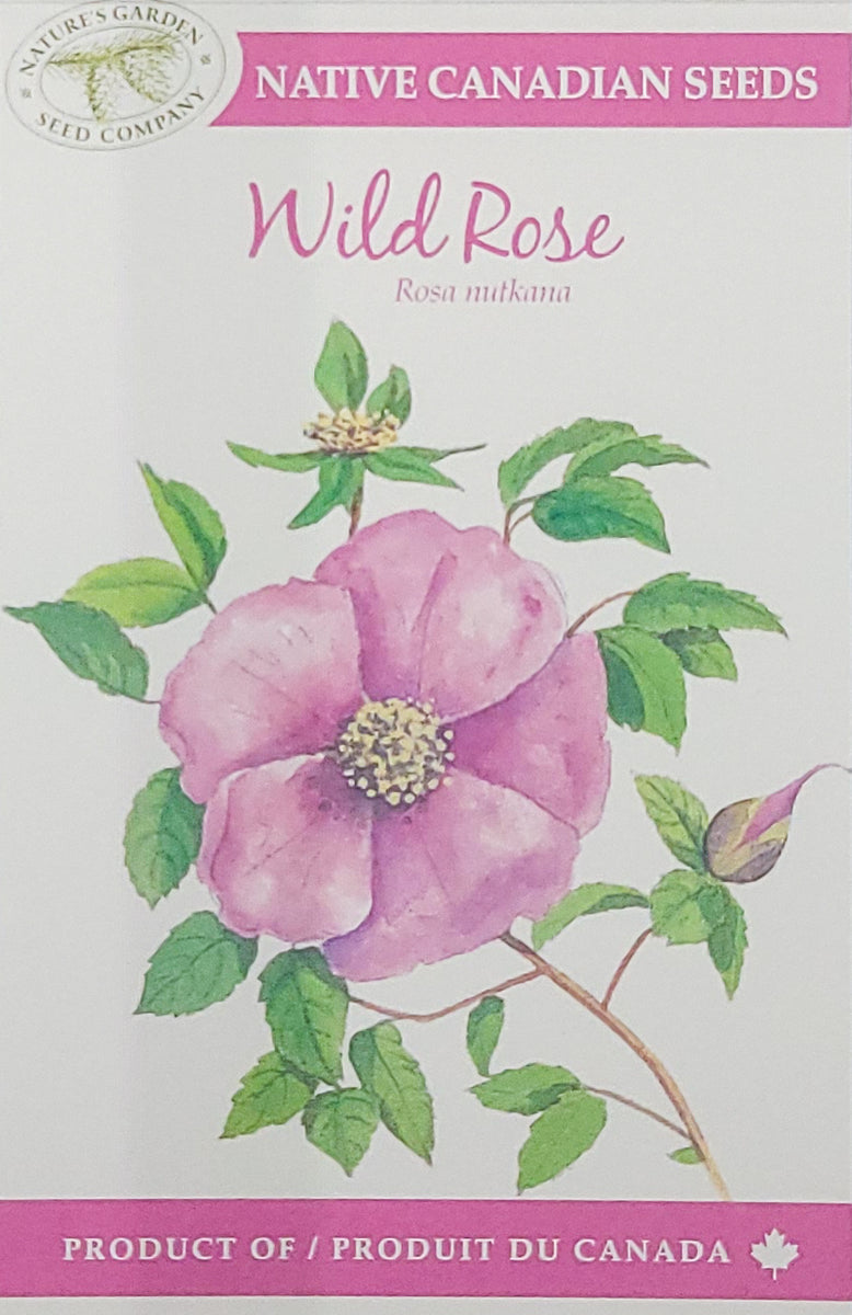 Wild Rose Wildflower Seeds – Nature's Garden Seed Company