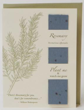 Rosemary Greeting Card – Nature's Garden Seed Company